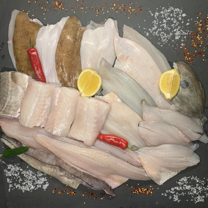 Brixham Fish | Hamiltons Fish | Fresh from the South Coast
