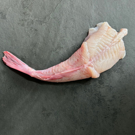Wild Monkfish | Fresh British Monkfish from Brixham | Hamiltons Fish